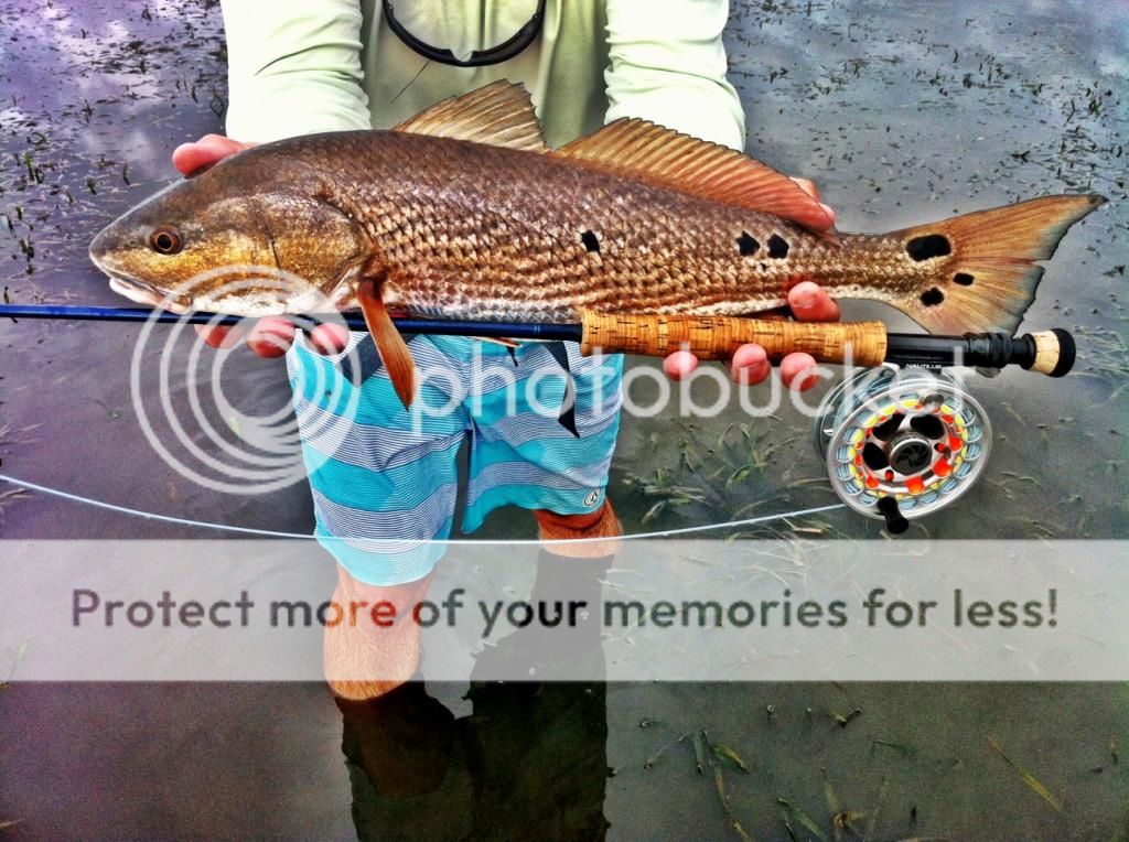 Tailers | Dedicated To The Smallest Of Skiffs