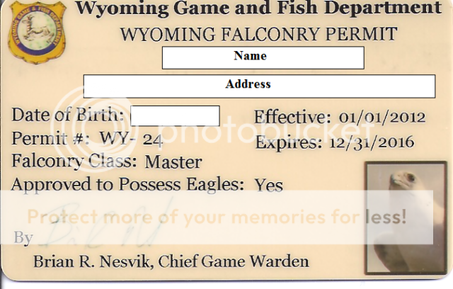 Credit Card Sized Falconry Permit