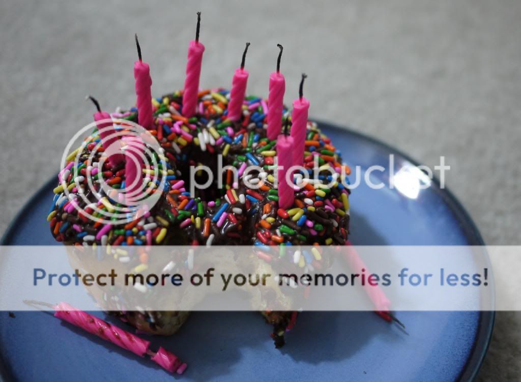 I can be a prankster! Fake Cookies and Donut Surpise! | indigotravels